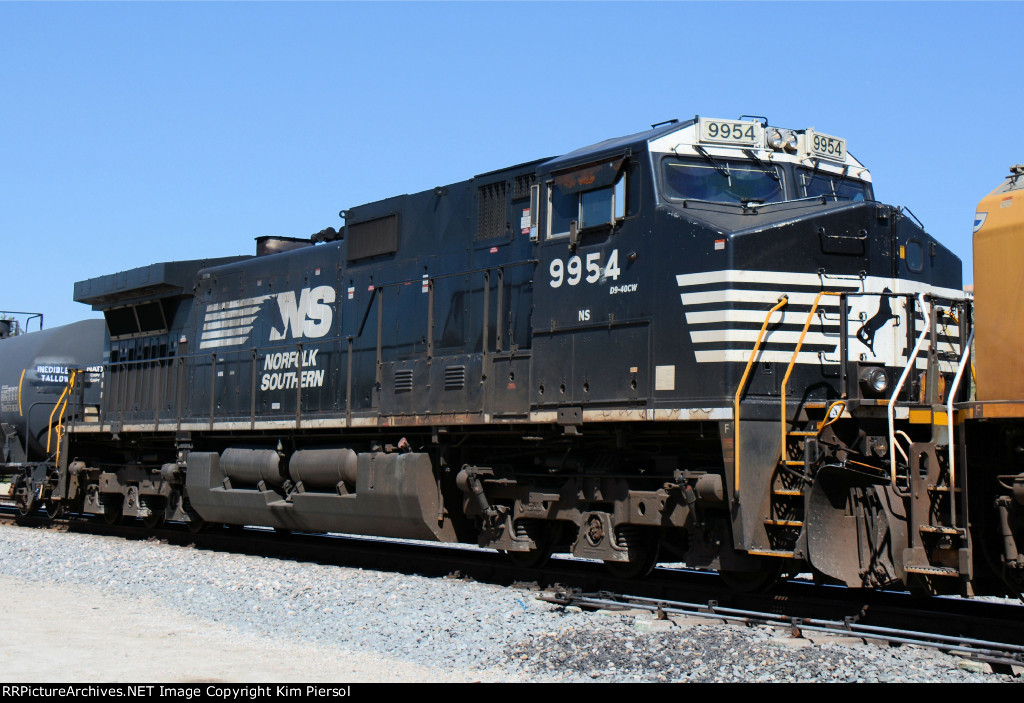 NS 9954